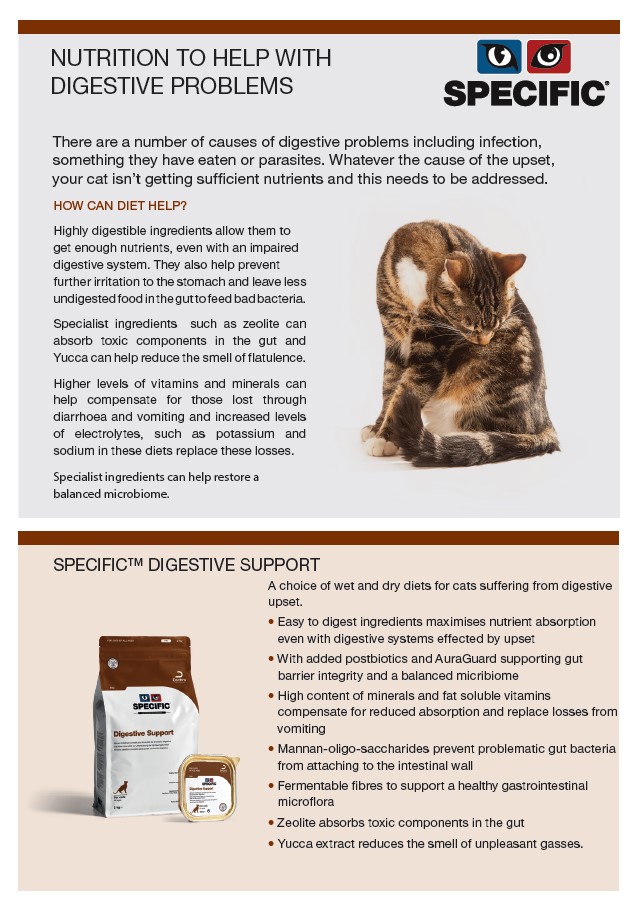 Gastrointestinal Diet from SPECIFIC Nutrition | Dechra