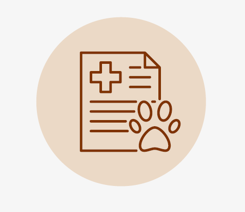 Gastrointestinal Diet from SPECIFIC Nutrition | Dechra