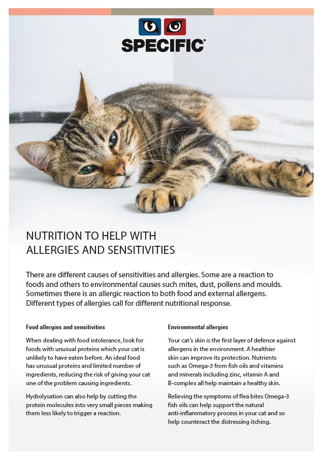 Derma and Allergy Diet from SPECIFIC Nutrition | Dechra