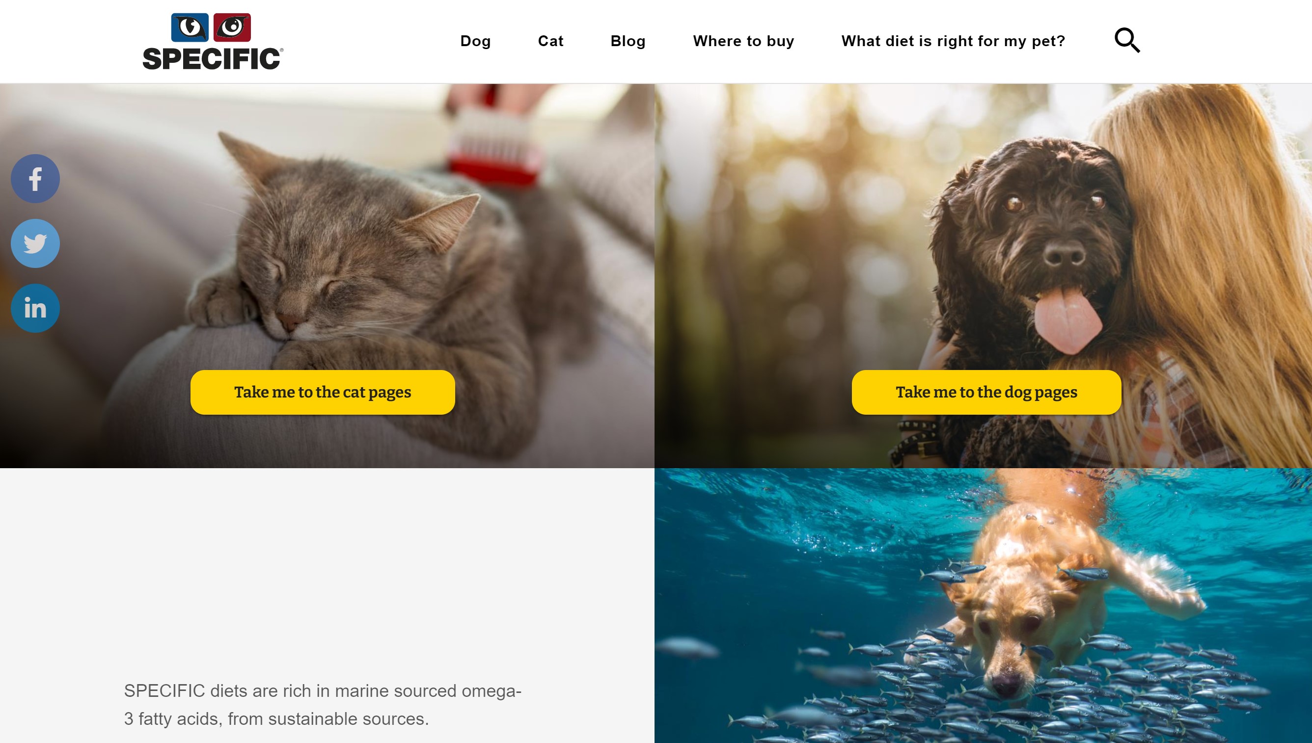 Gastrointestinal Diet from SPECIFIC Nutrition | Dechra