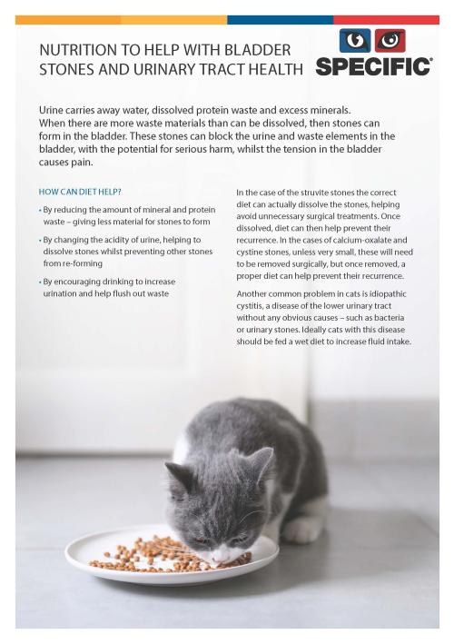 SPECIFIC Nutrition – Urinary Diets | Dechra UK