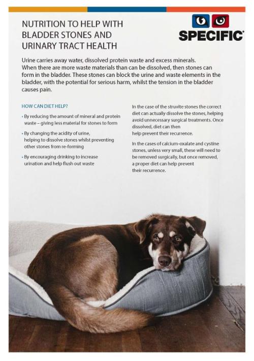 SPECIFIC Nutrition – Urinary Diets | Dechra UK